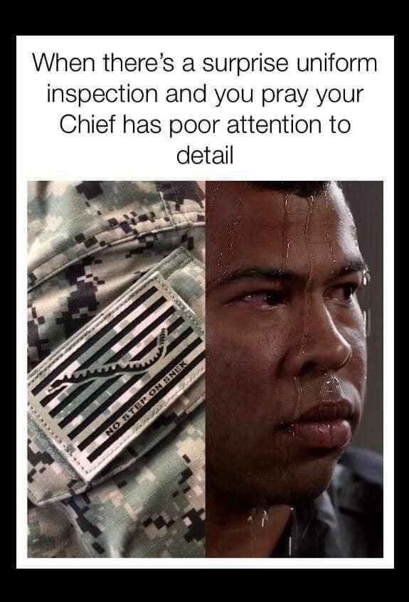 Standard Issue Wearable Meme | Scrolller