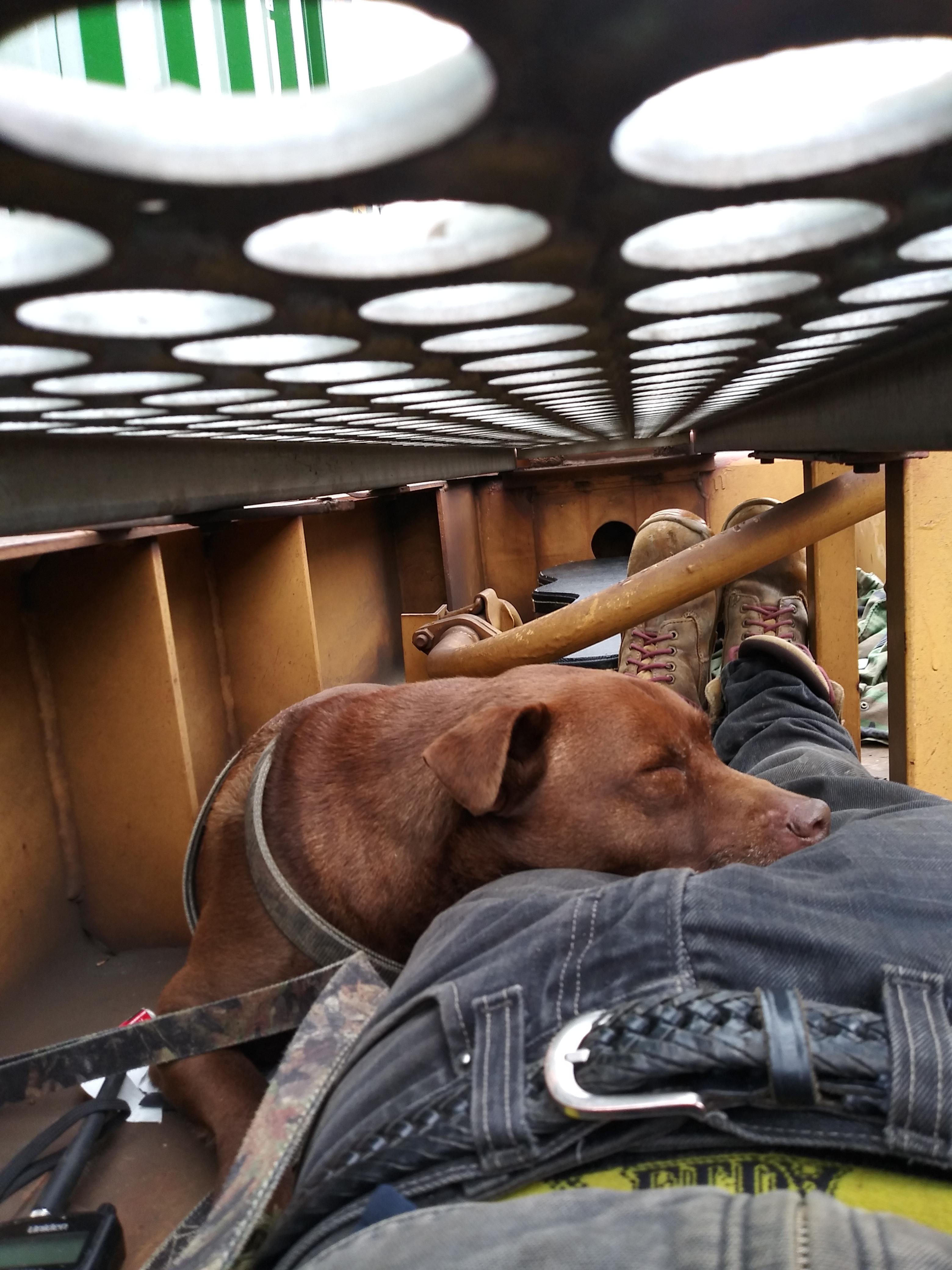 Standard position | Scrolller