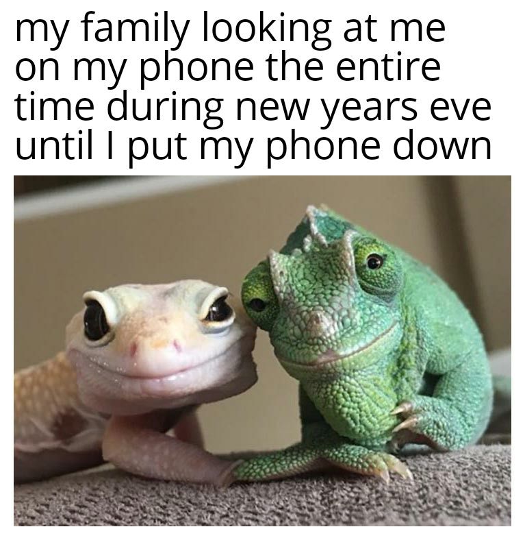 Stares at my reddit karma | Scrolller