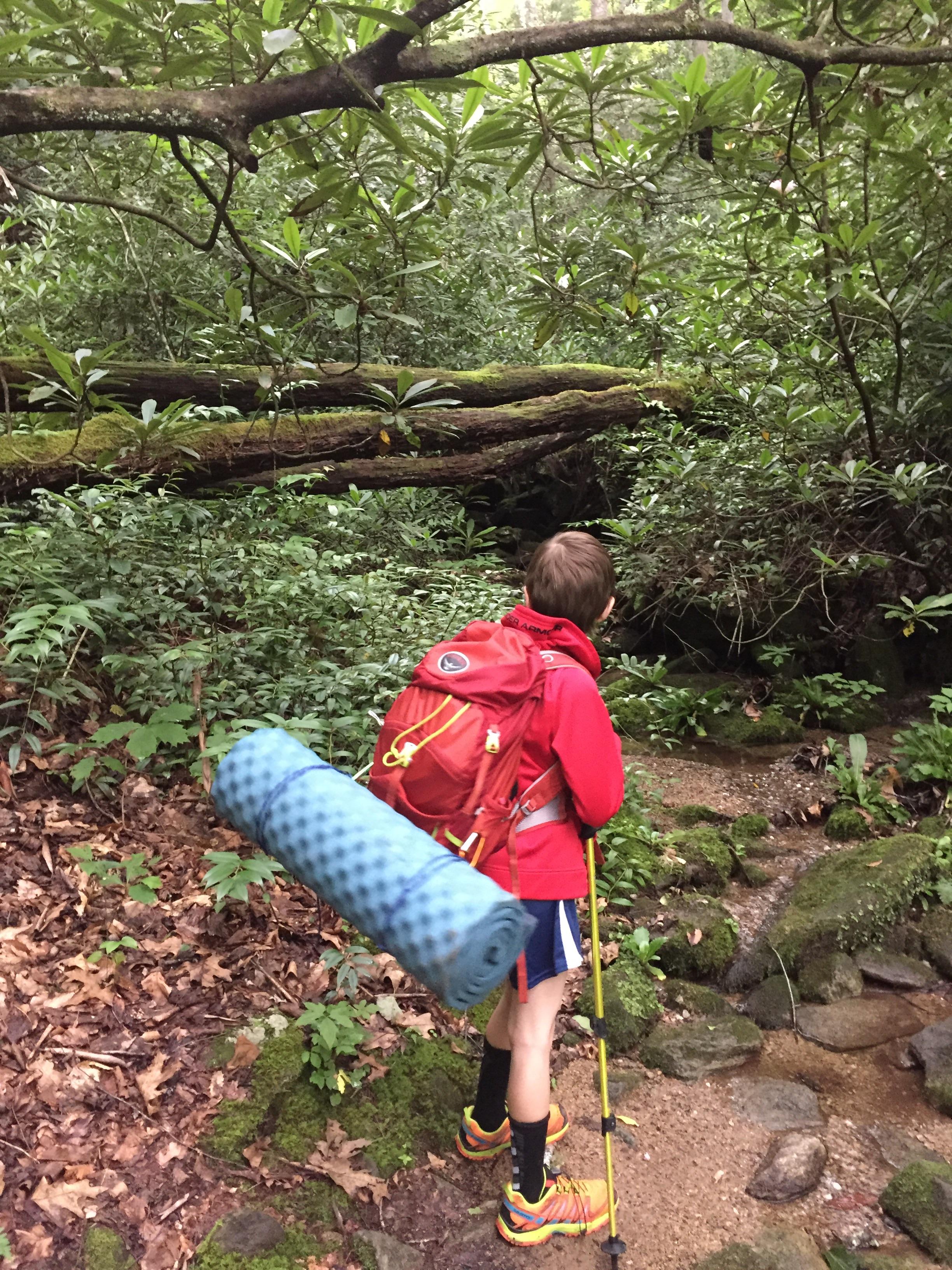 Start 'em young. | Scrolller