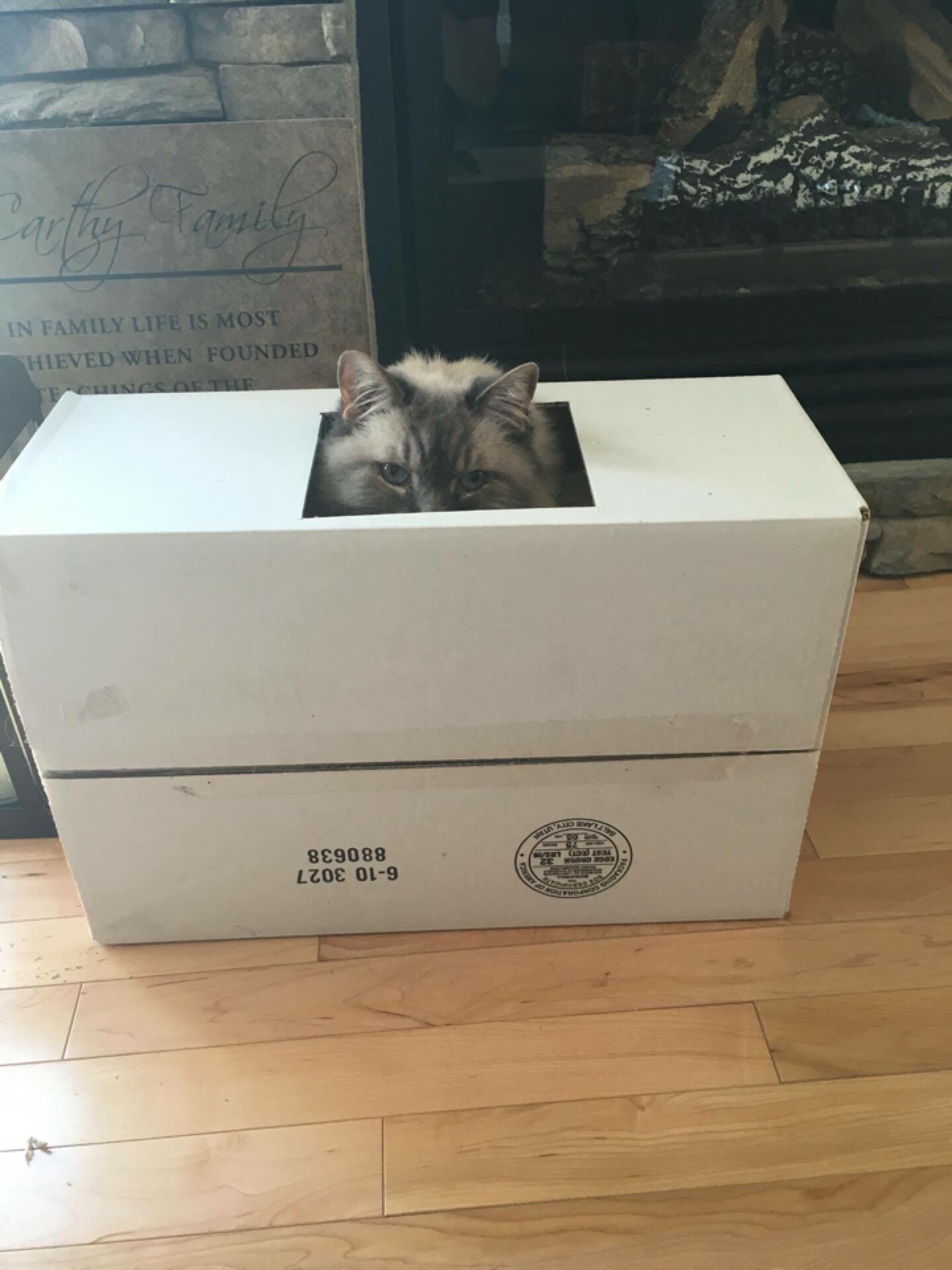 Stay out of my box | Scrolller