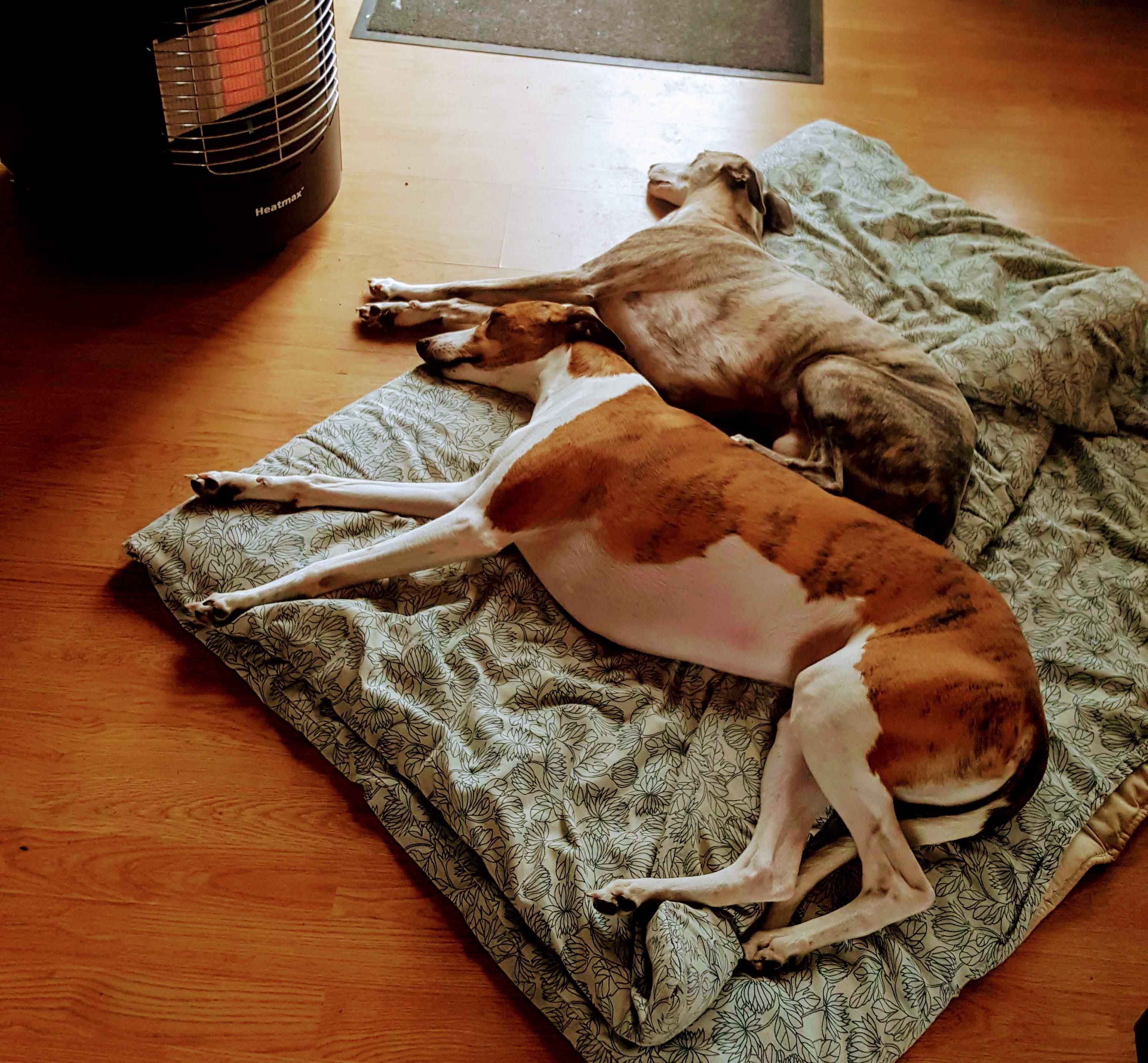 Staying warm | Scrolller