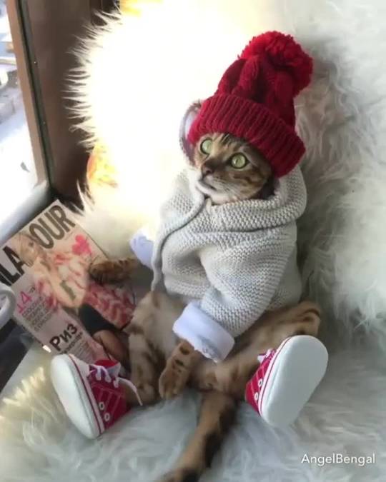 Staying warm is important | Scrolller