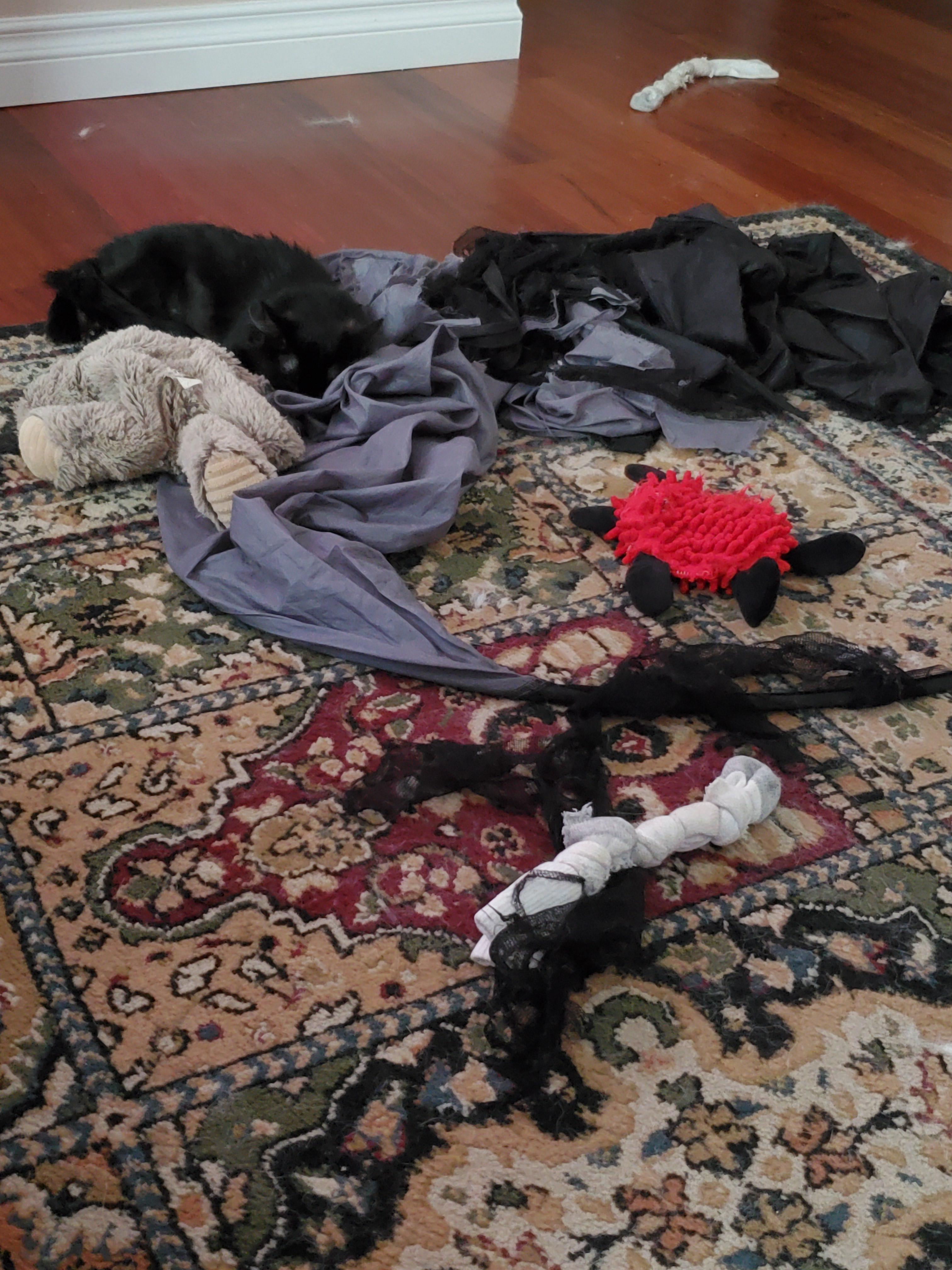 Stealth 100 | Scrolller