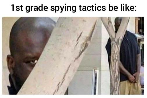 STEALTH 1000 | Scrolller