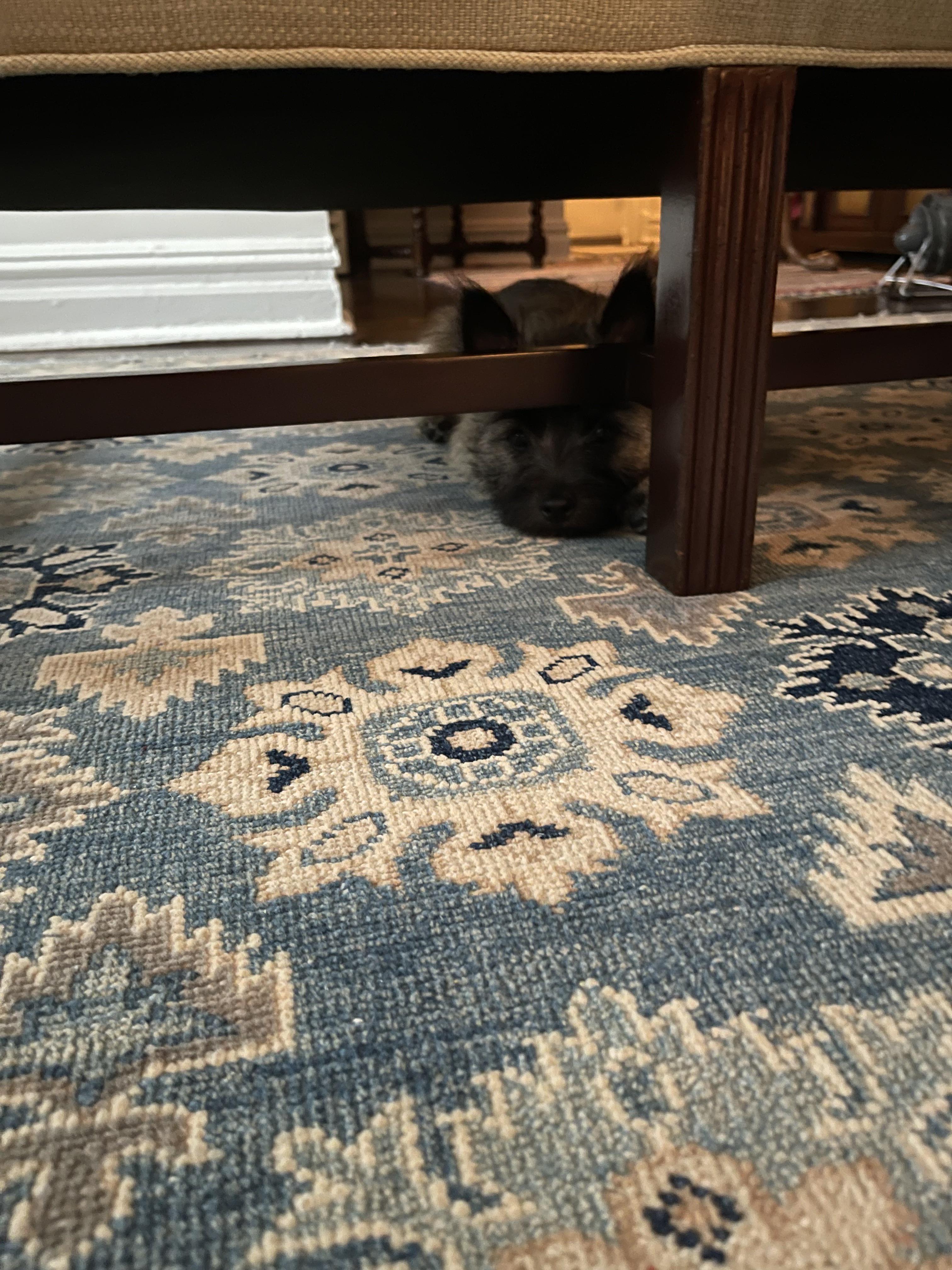 Stealth mode… | Scrolller