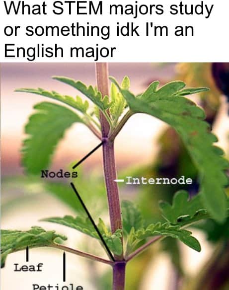 STEM is amazing | Scrolller