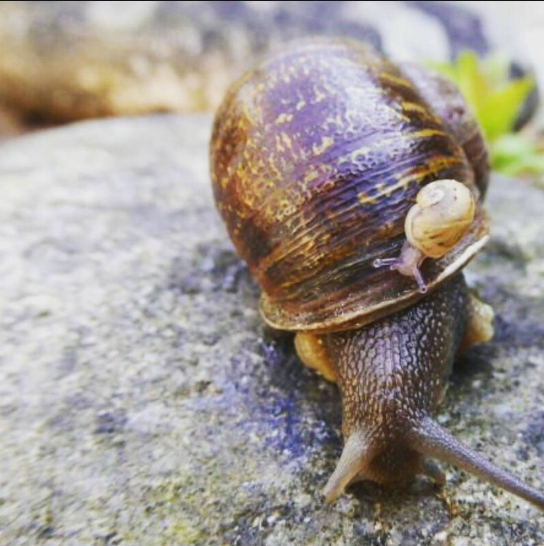 Sticking Together | Scrolller