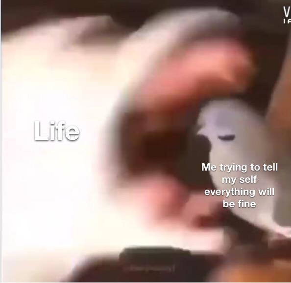 Still trying | Scrolller