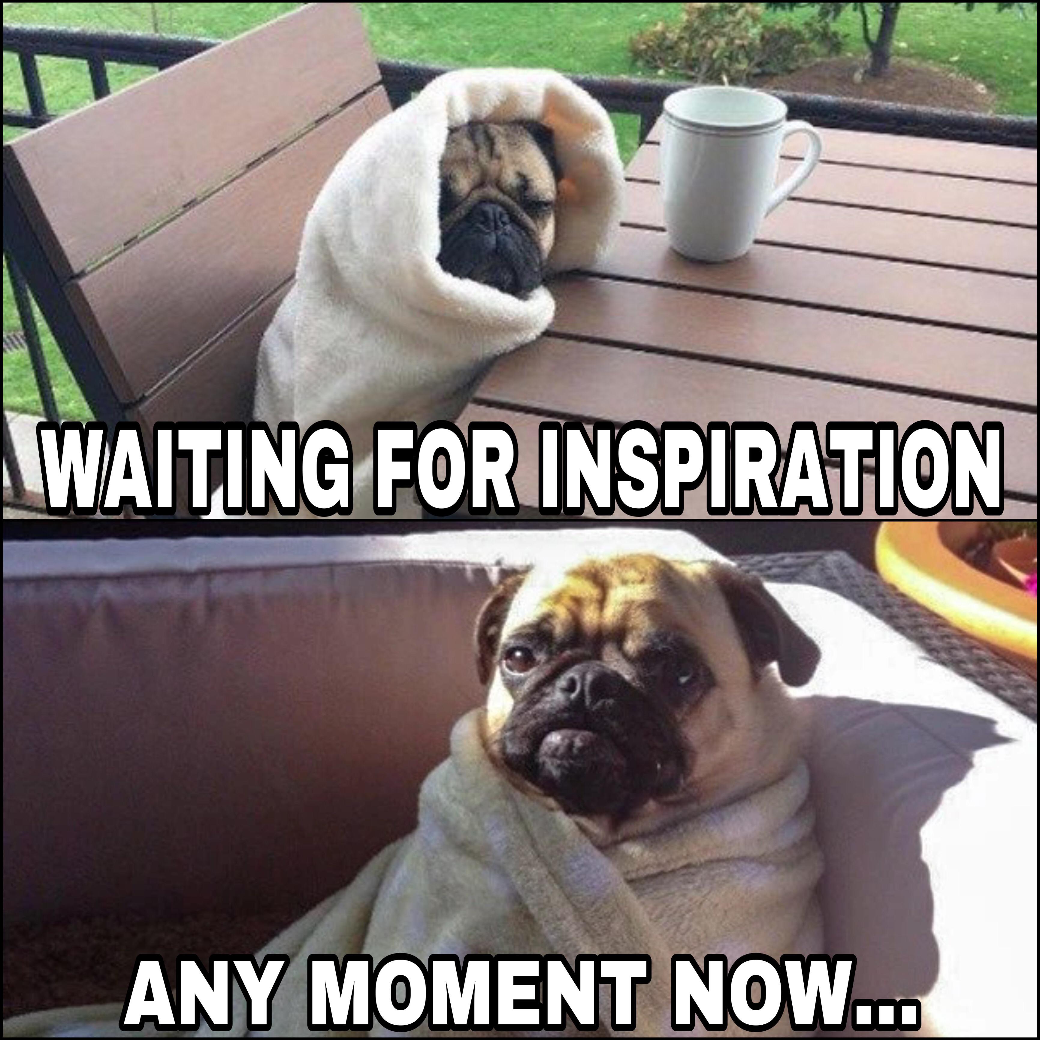 Still waiting | Scrolller