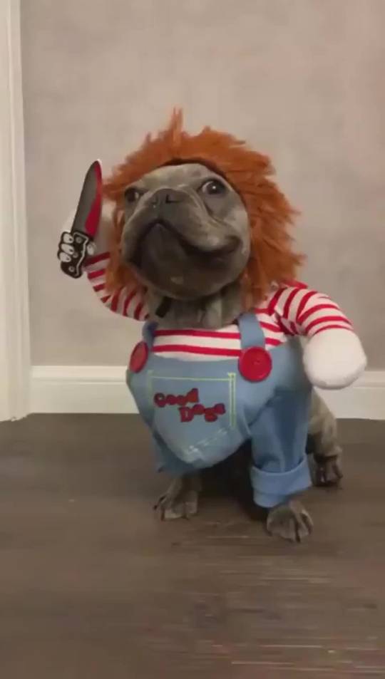 StOne CoLD kILLer CloWn StAlkS VicTIm | Scrolller