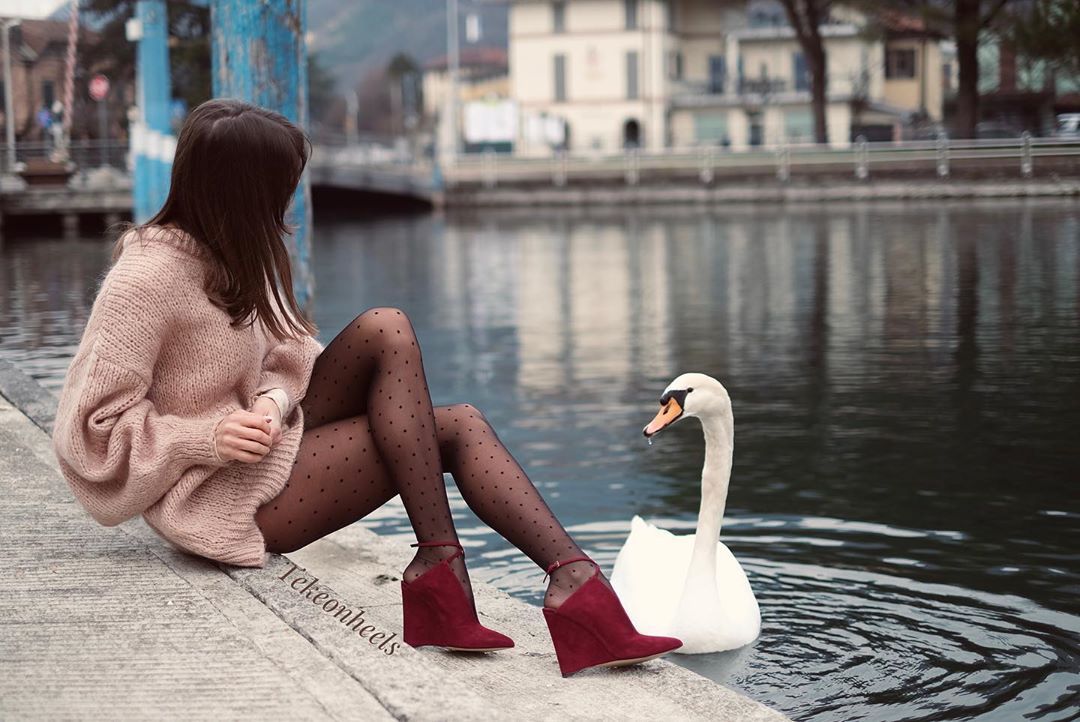 Stop looking at me Swan | Scrolller