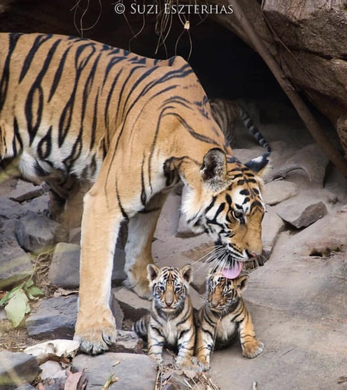 Stop Mum | Scrolller