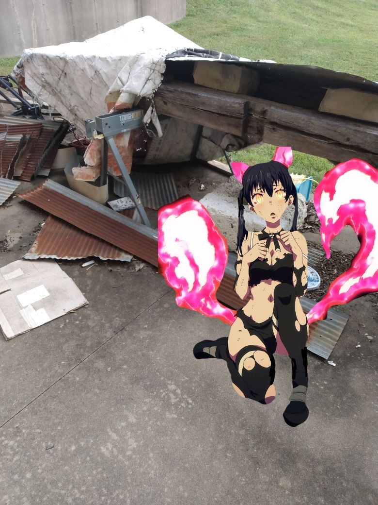 Stray. I'm thinking it's a her. | Scrolller