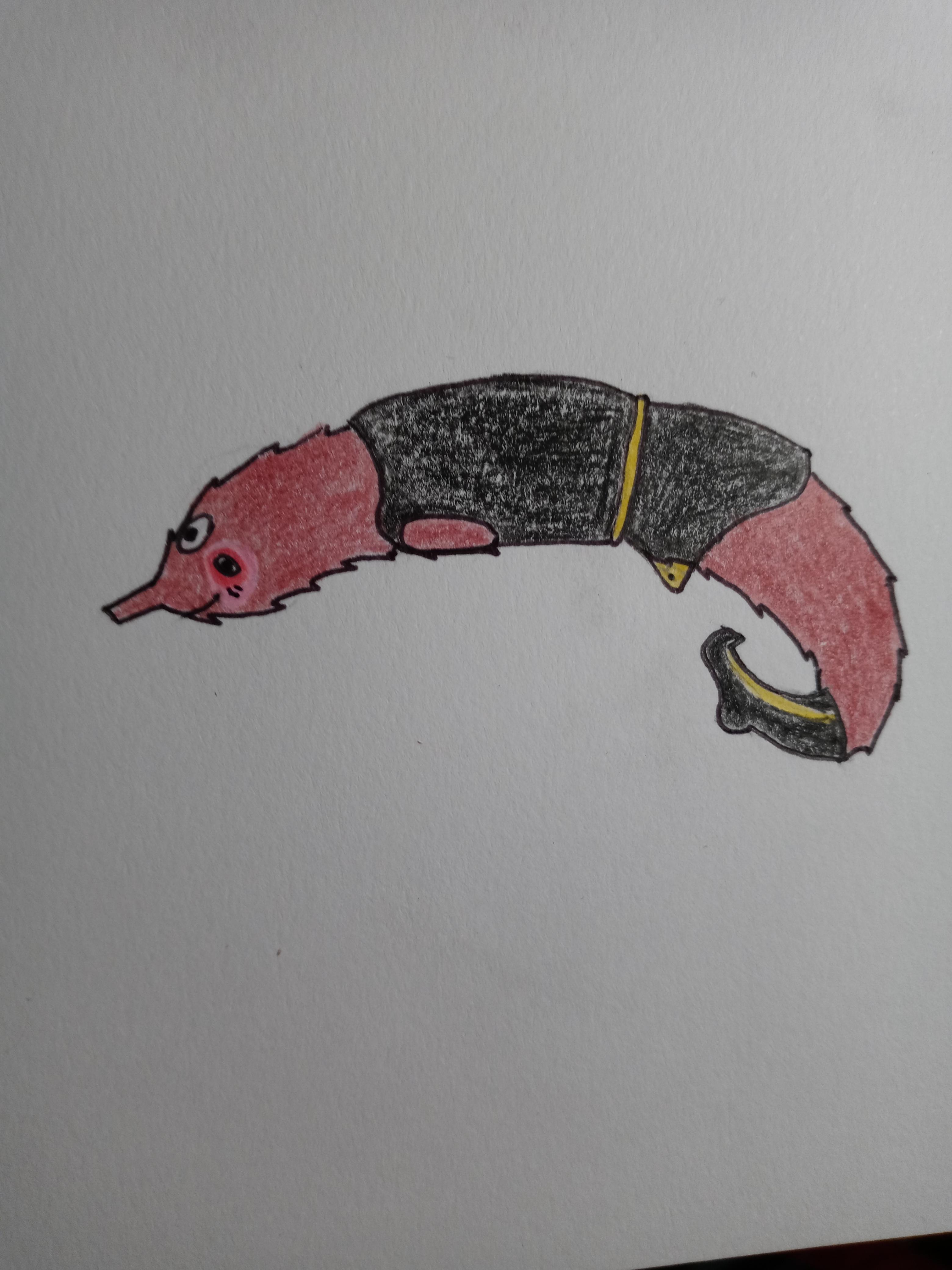 Stringtember day 3. Zuko is best boy. | Scrolller