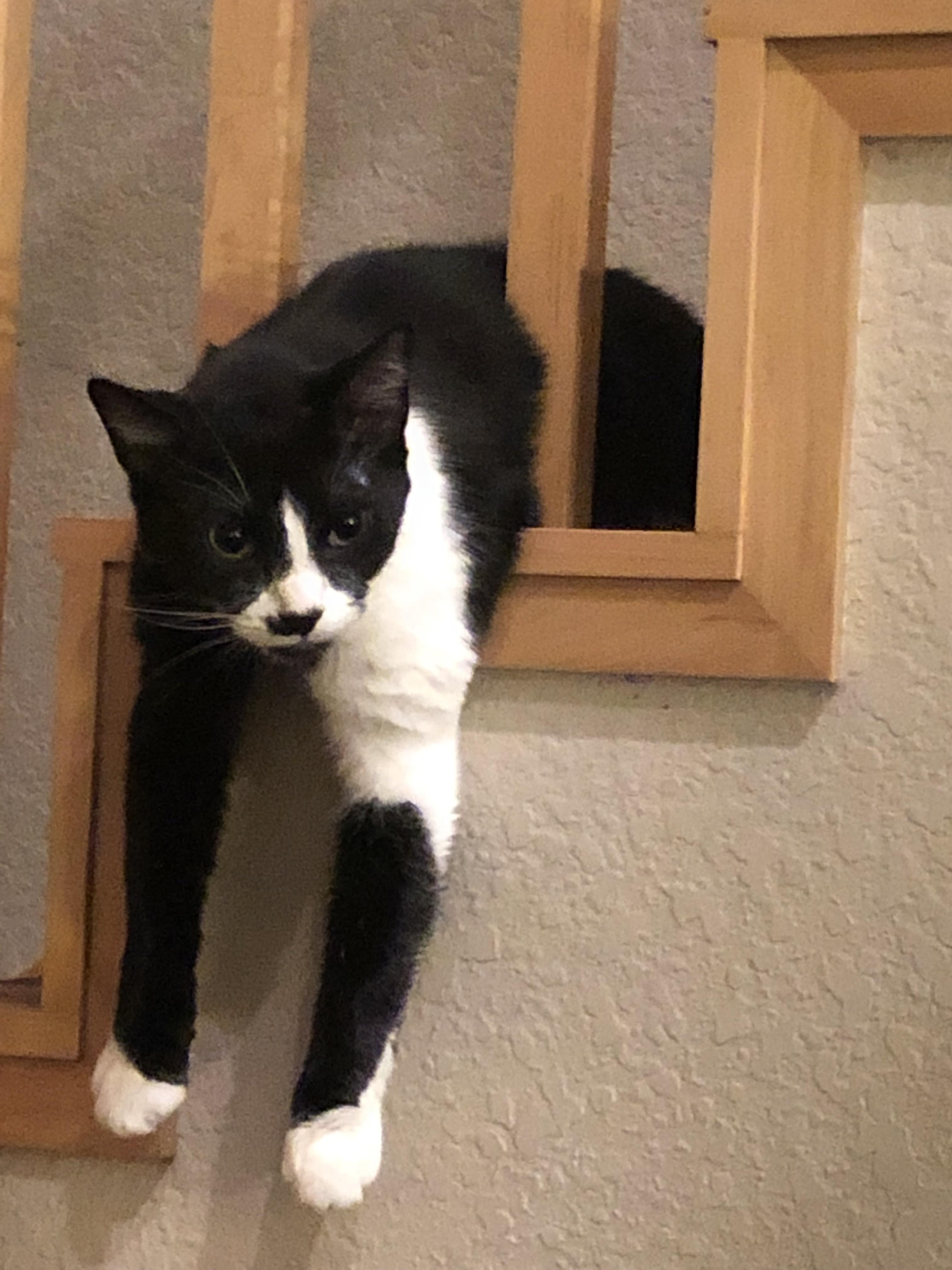 Stuck on balcony | Scrolller