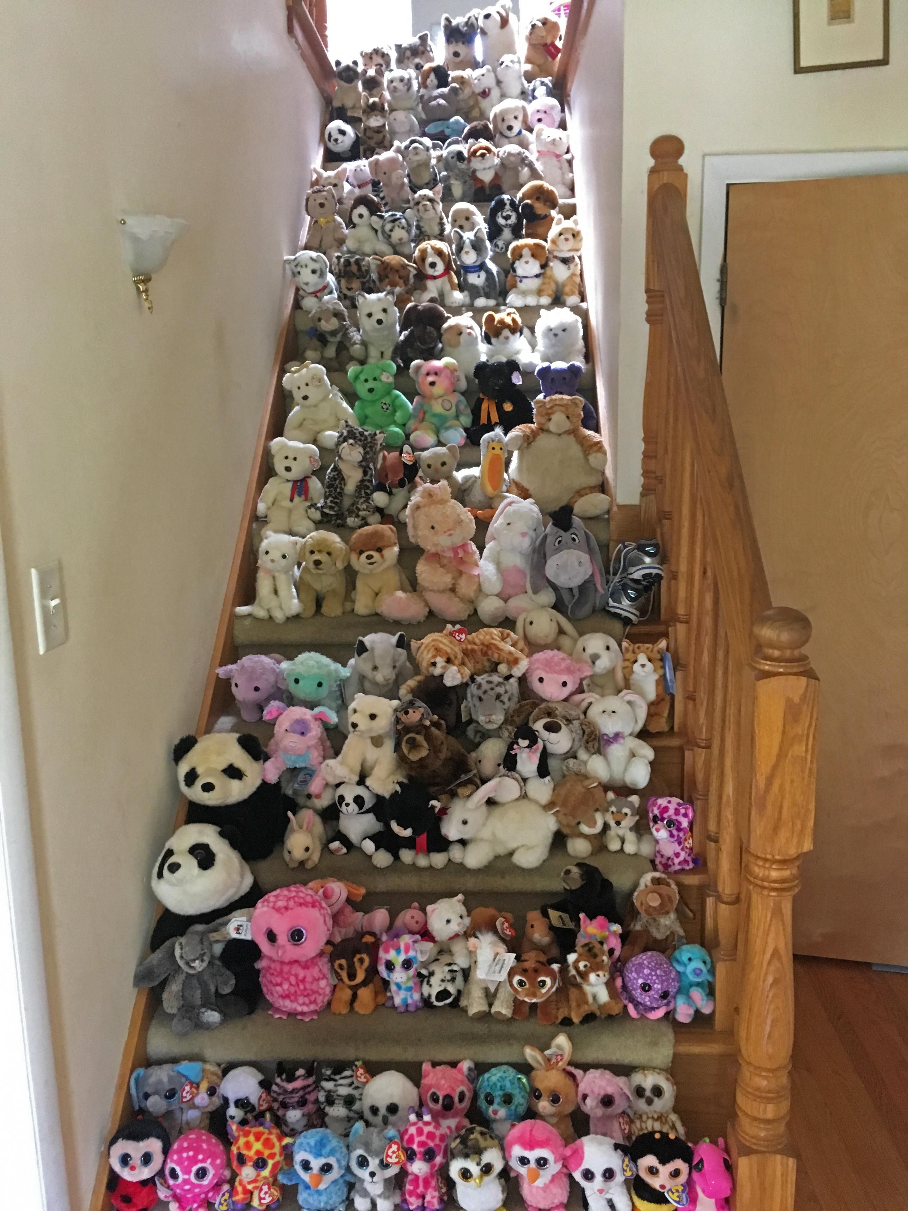 stuffed animal collection | Scrolller