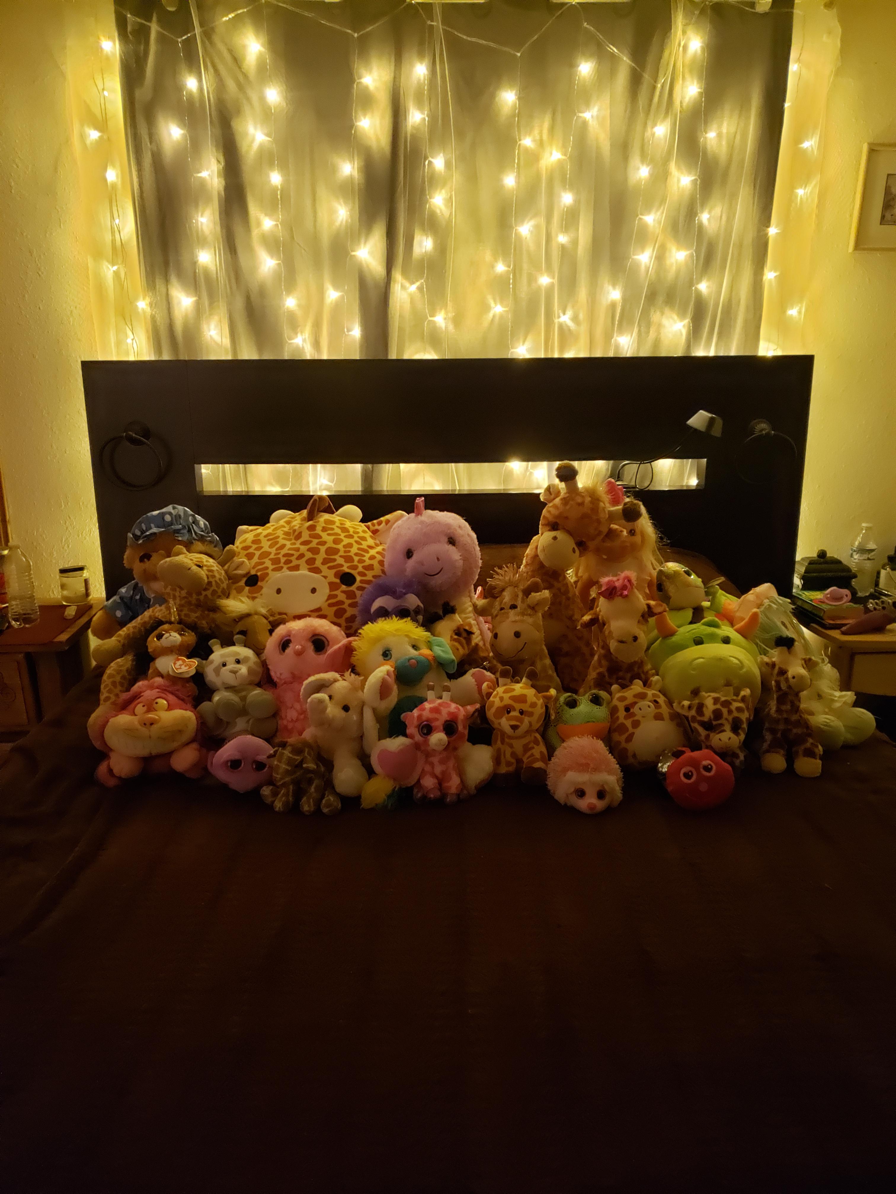 Stuffie family photo...my precious babies. | Scrolller