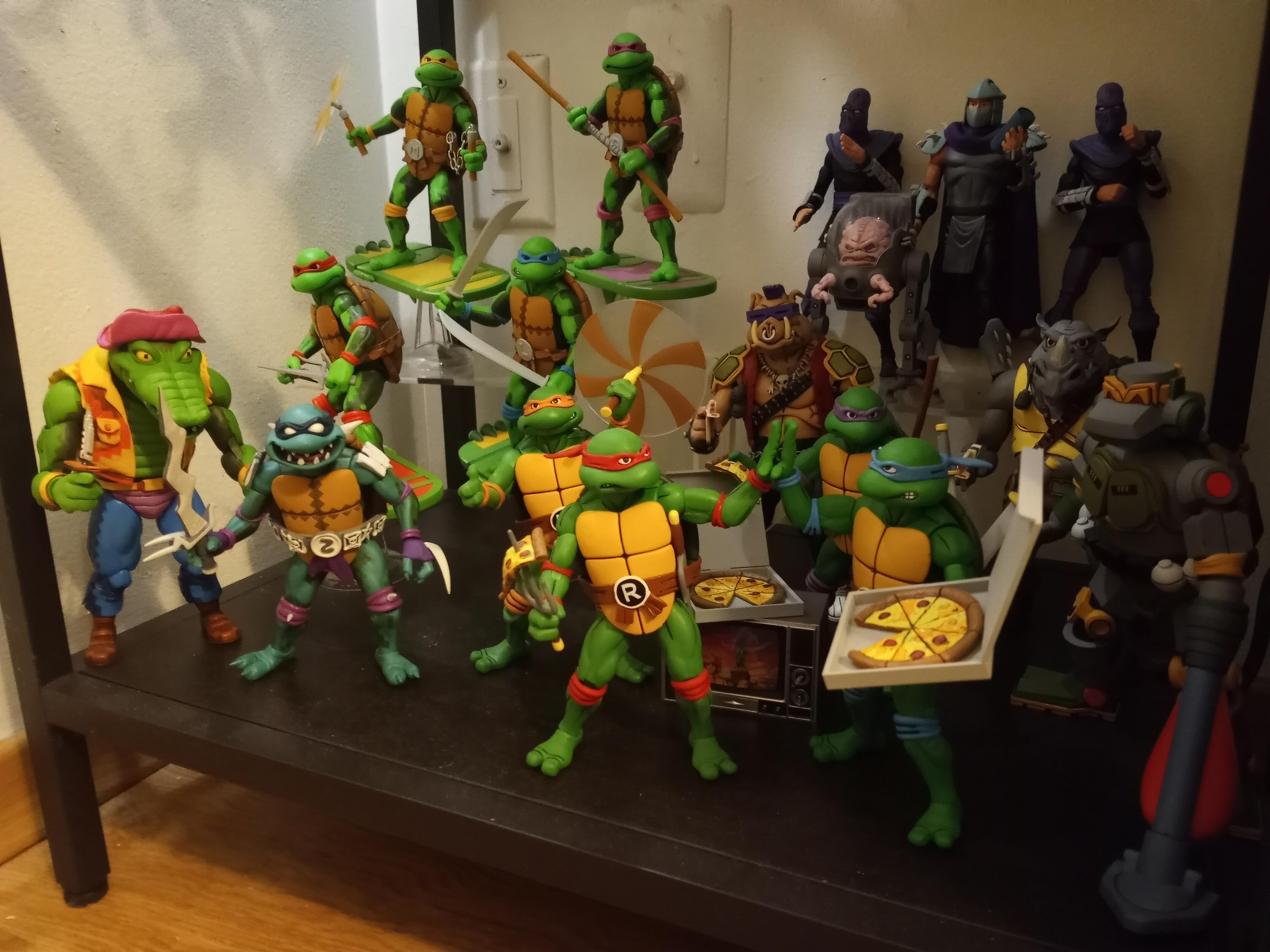 Submitted For Your Approval, My Turtle Shelf | Scrolller