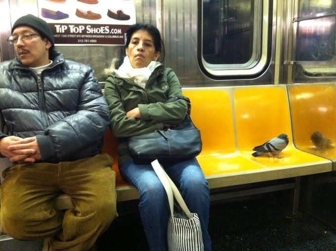 Subway Gentleman | Scrolller