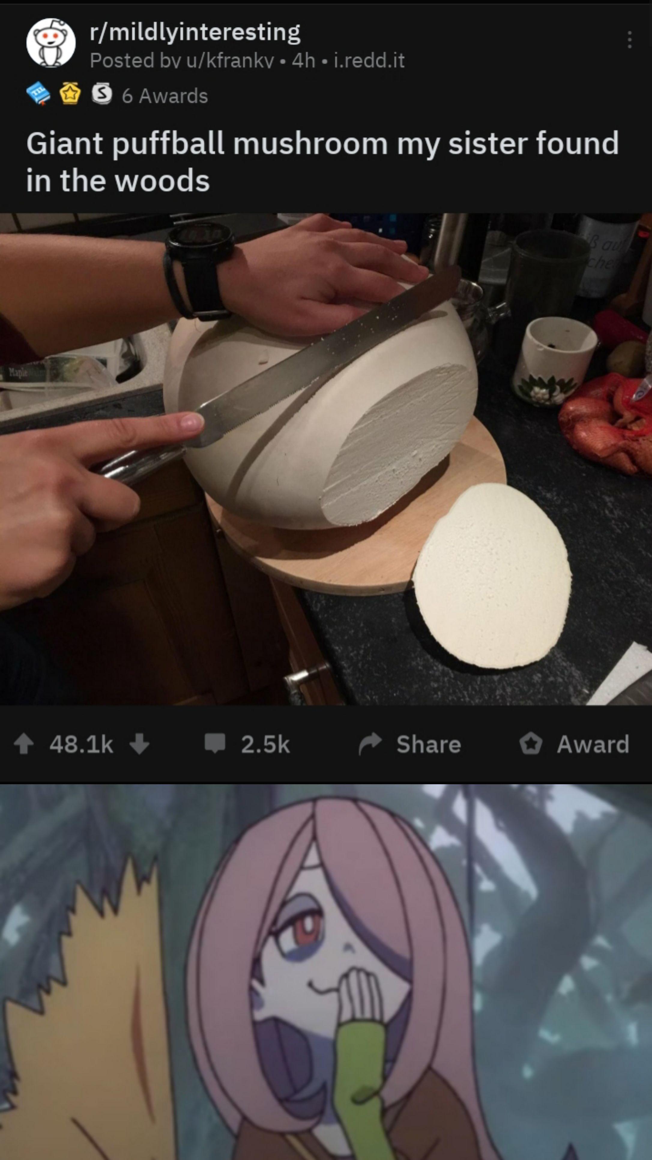 Sucy approved | Scrolller