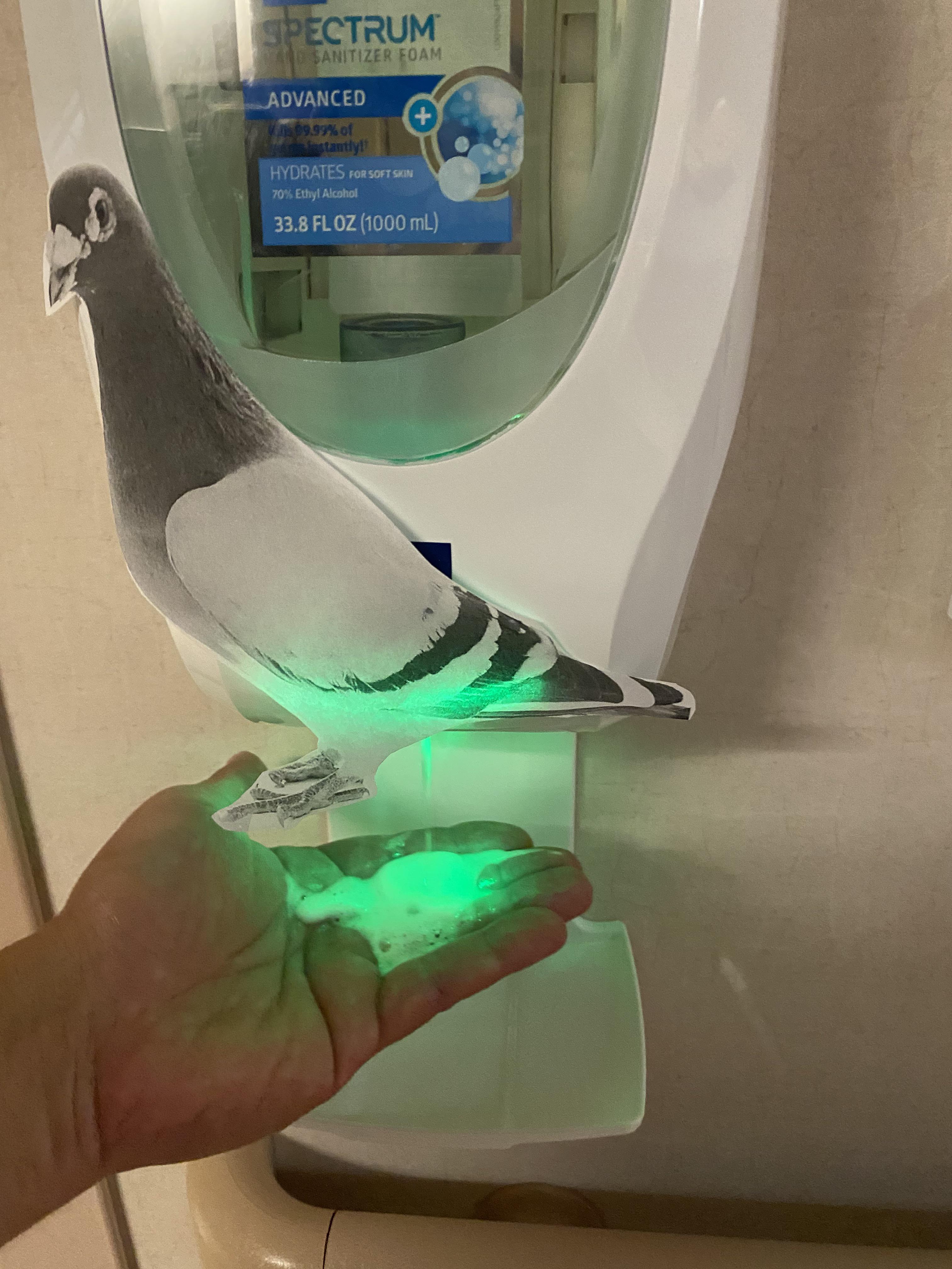 Suddenly hand washing compliance improved who knew? | Scrolller