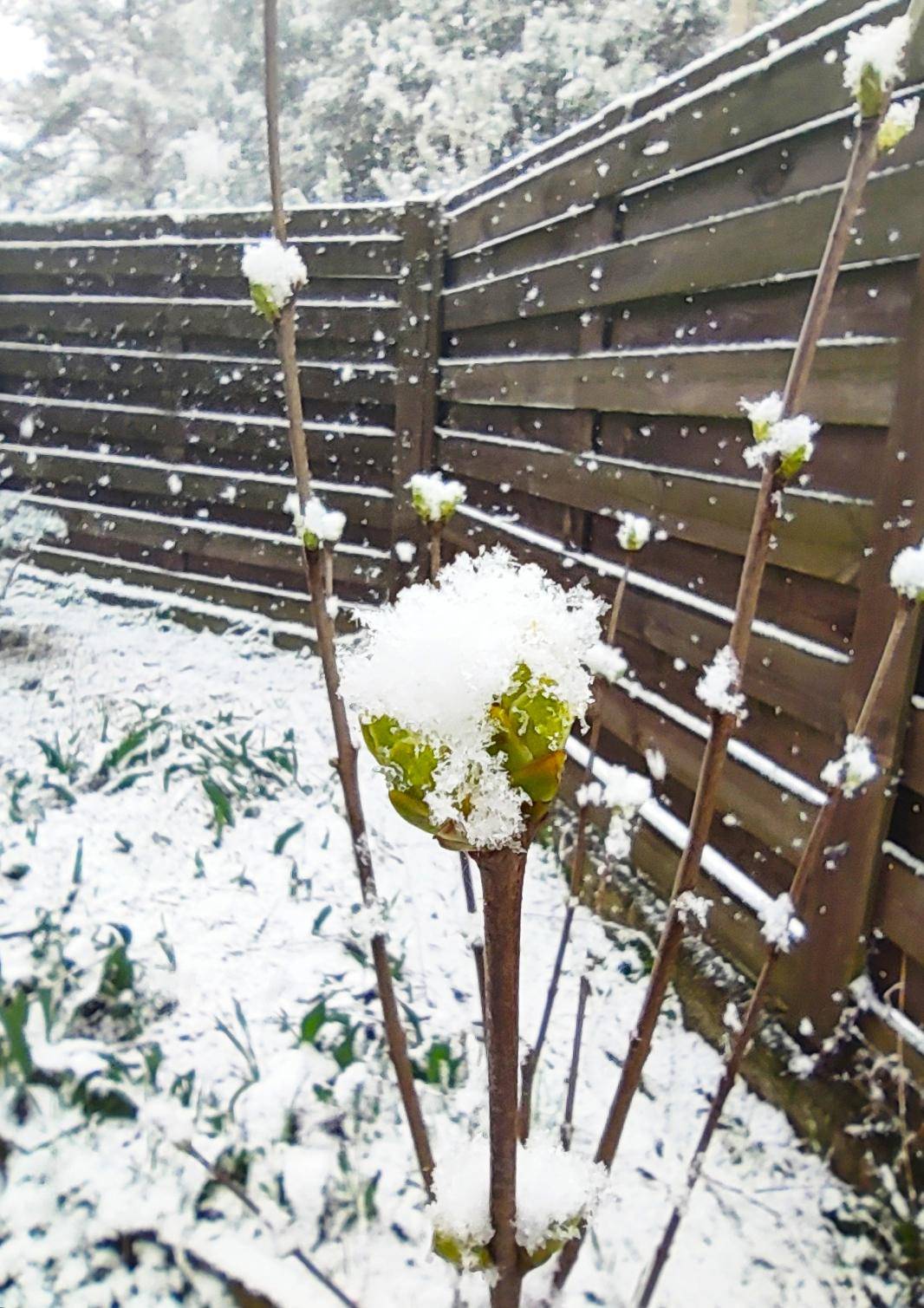 Suddenly winter... | Scrolller