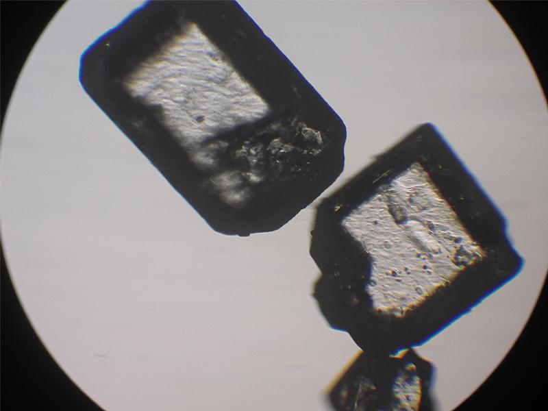 sugar crystals under microscope [OC][800*600] | Scrolller