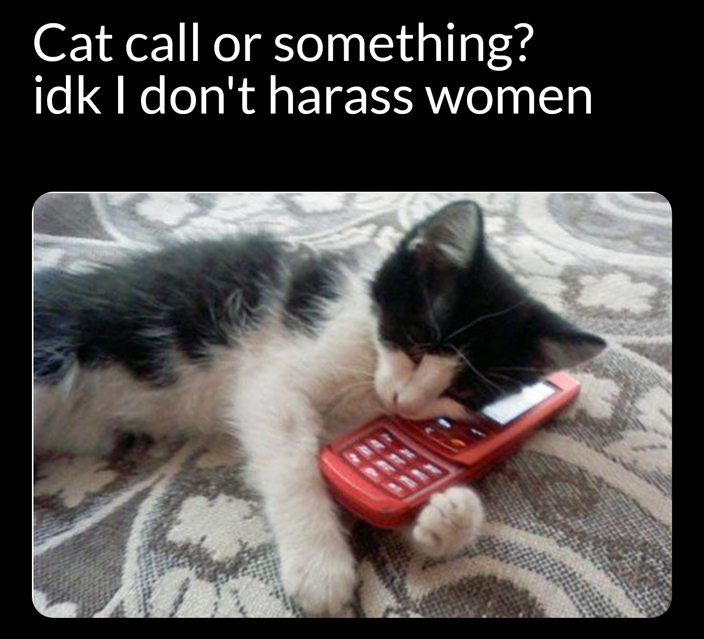 Suggestive mewing intensifies | Scrolller