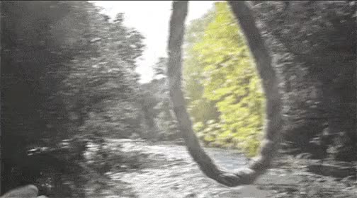 Suicide Scrolller