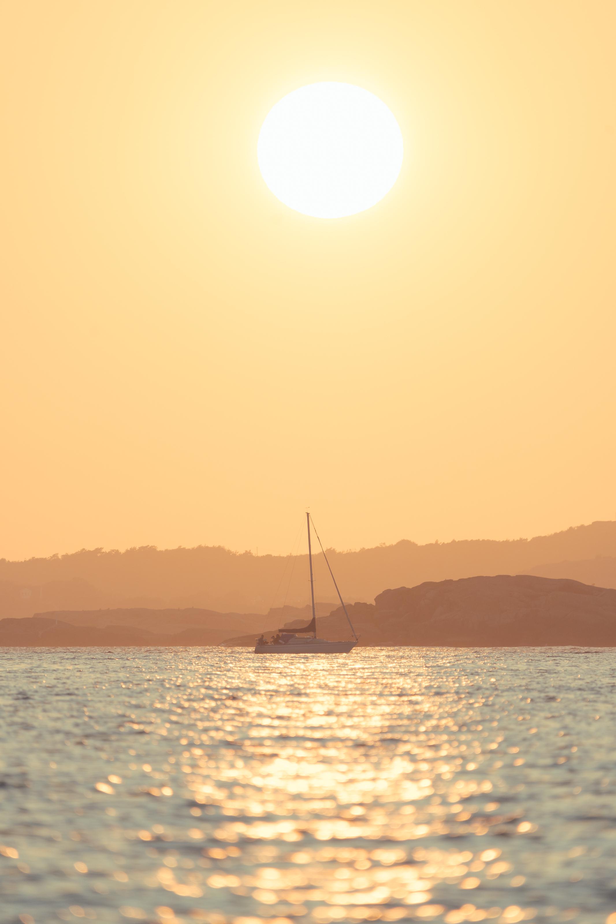 summer bliss [Sony A7iii + FE 200-600] | Scrolller