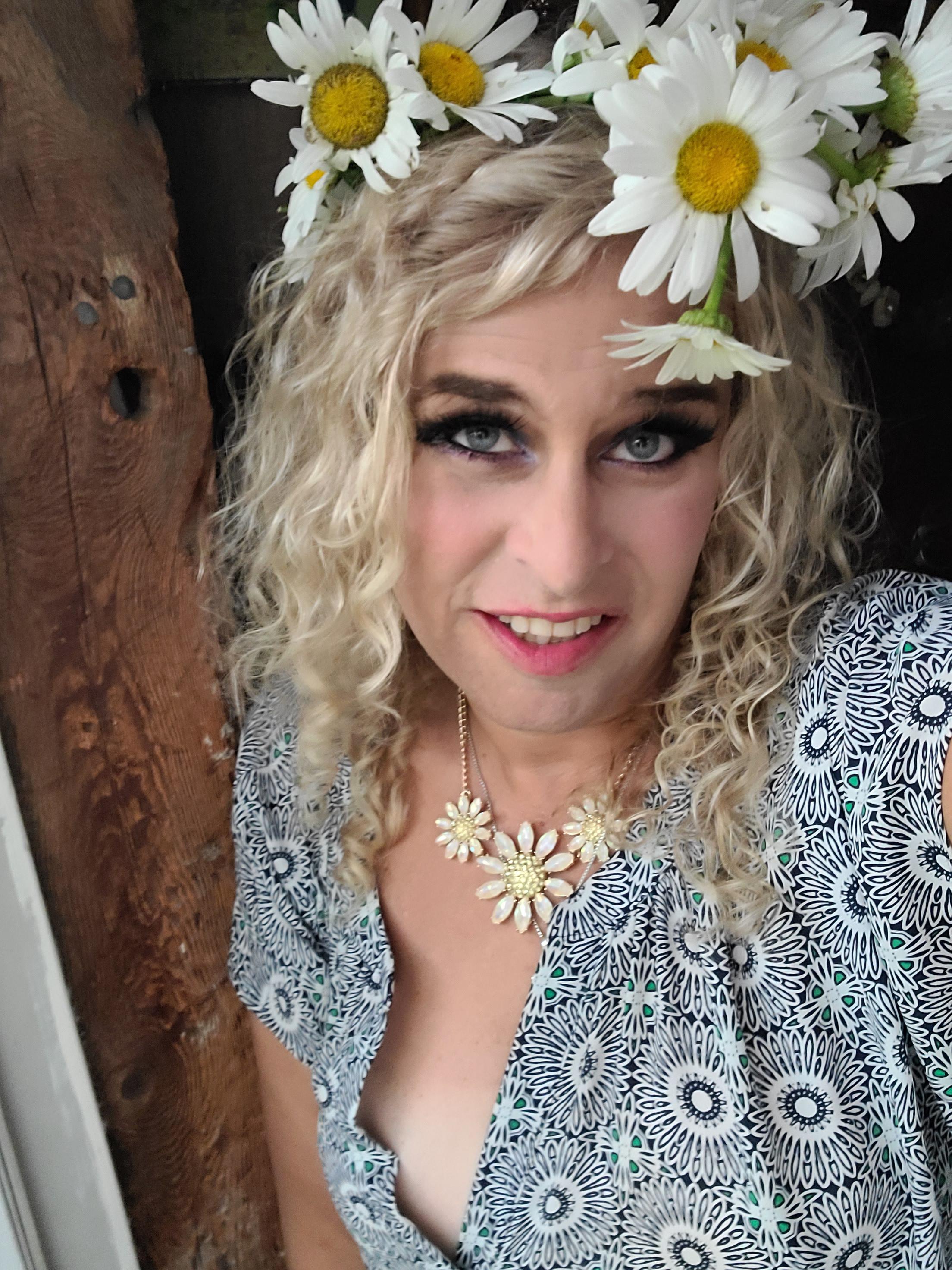 Summer daisy fun | Scrolller