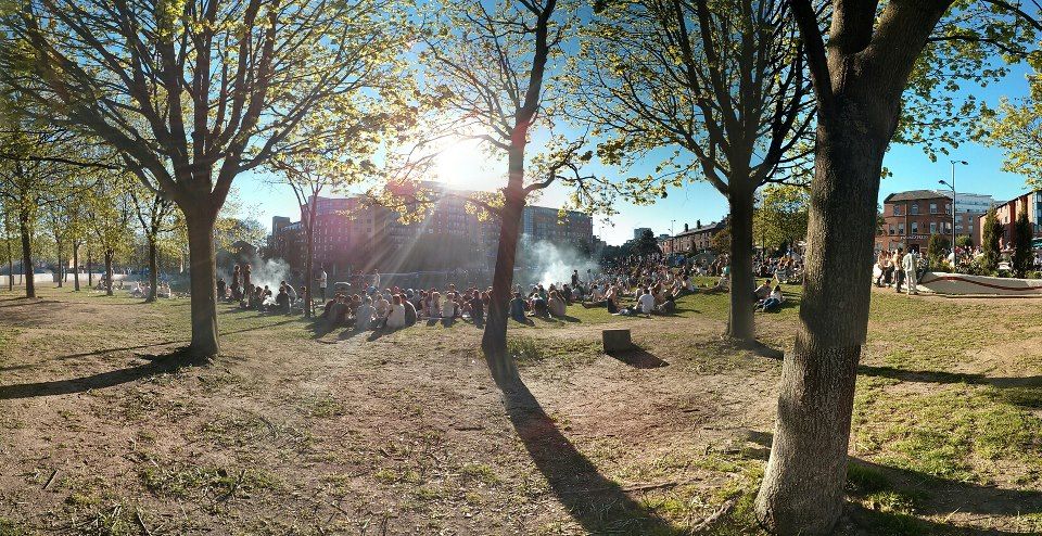 Summer in Sheffield | Scrolller