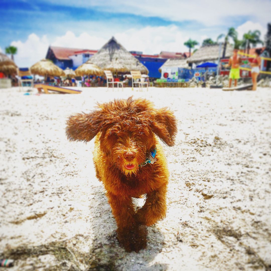 Summer is coming! | Scrolller