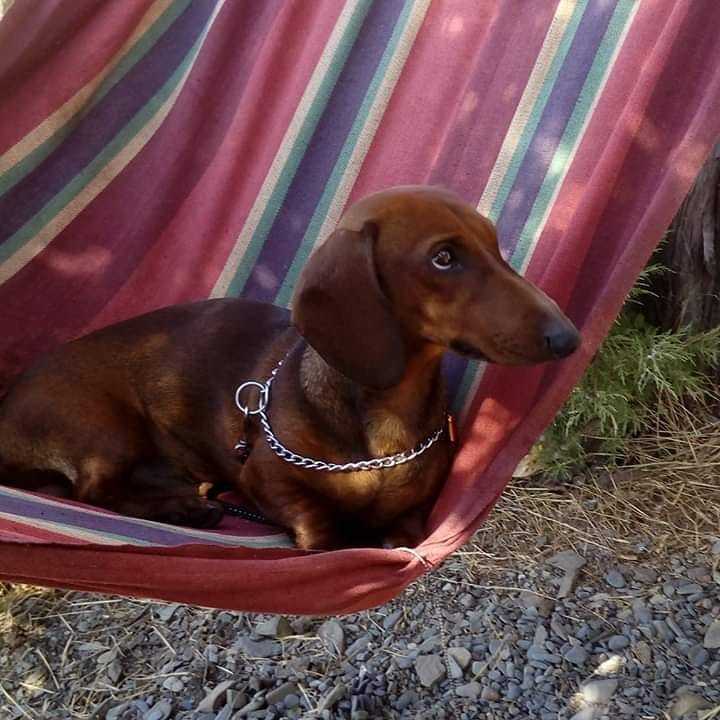 summer memories | Scrolller