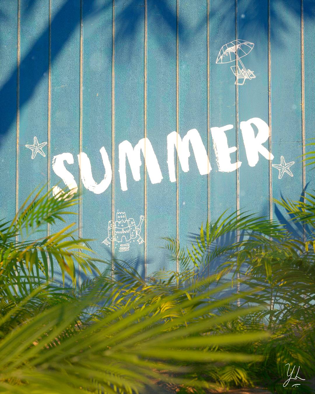 " SUMMER VIBES " | Scrolller