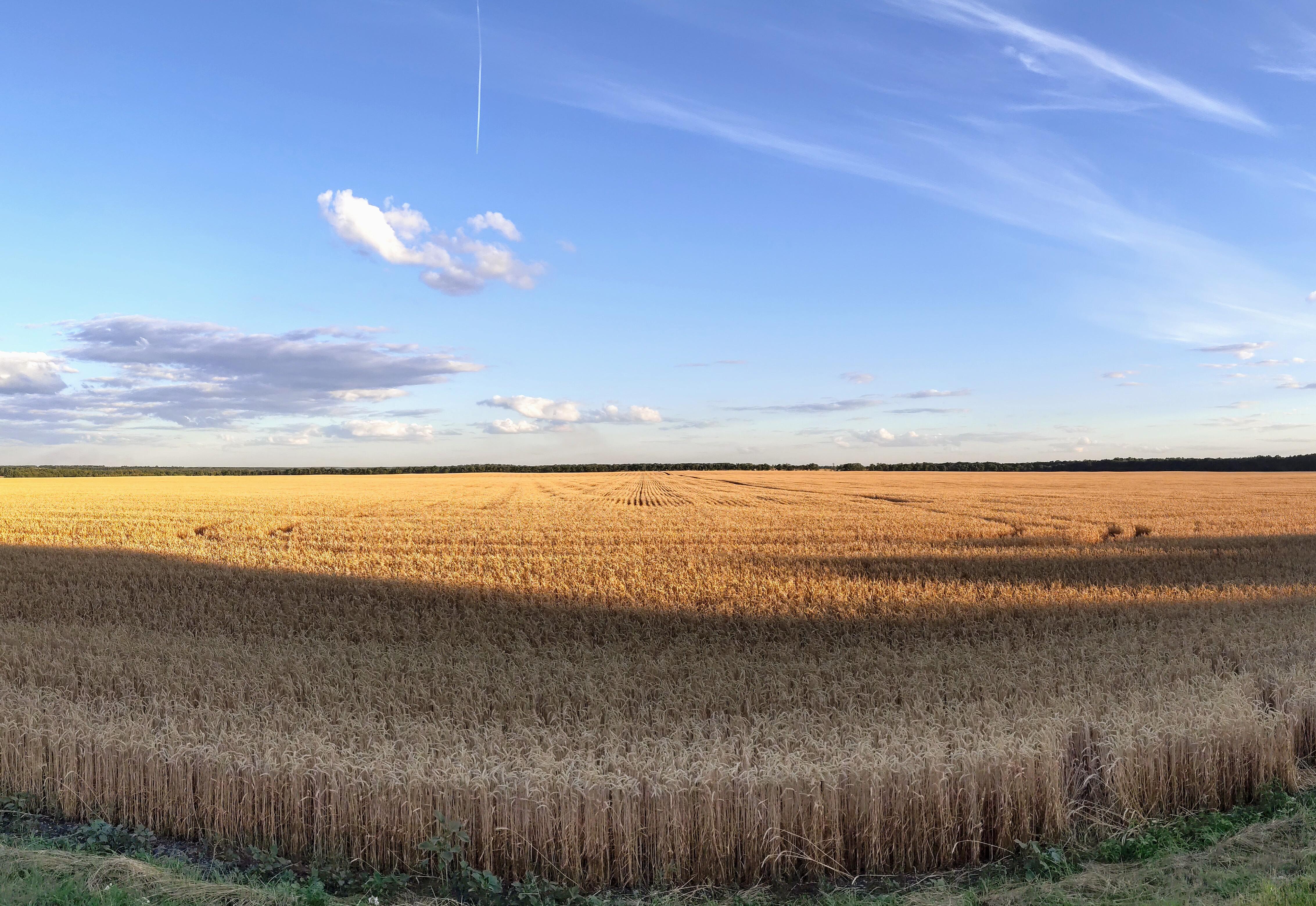 Summer's apex | Scrolller