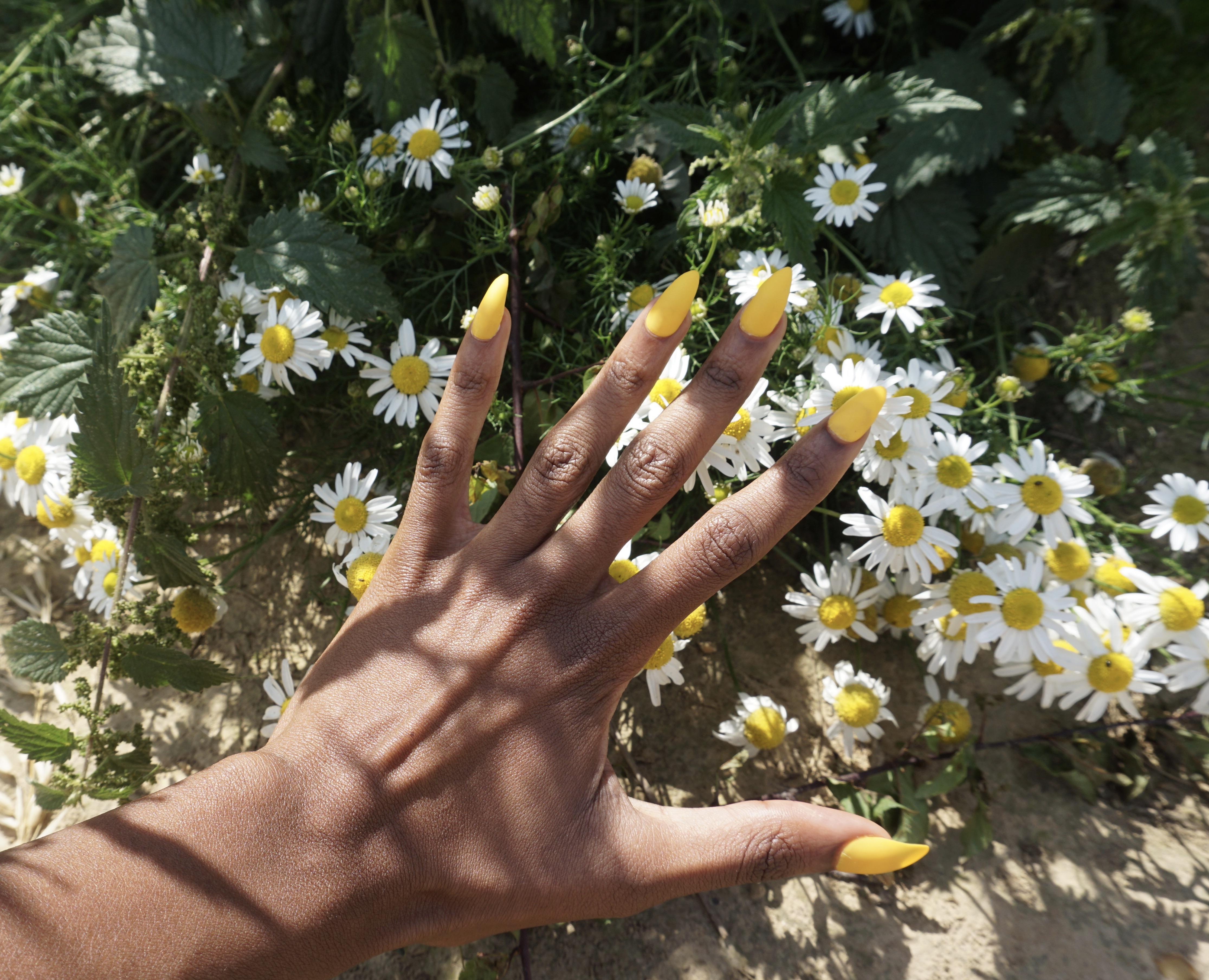 Summertime 💛 | Scrolller