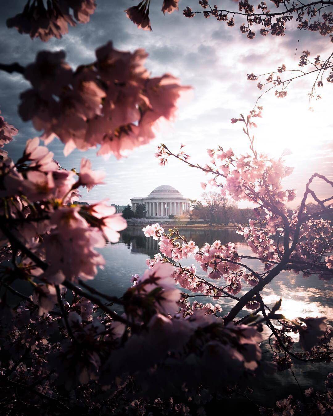 summertime in Washington D.C. | Scrolller