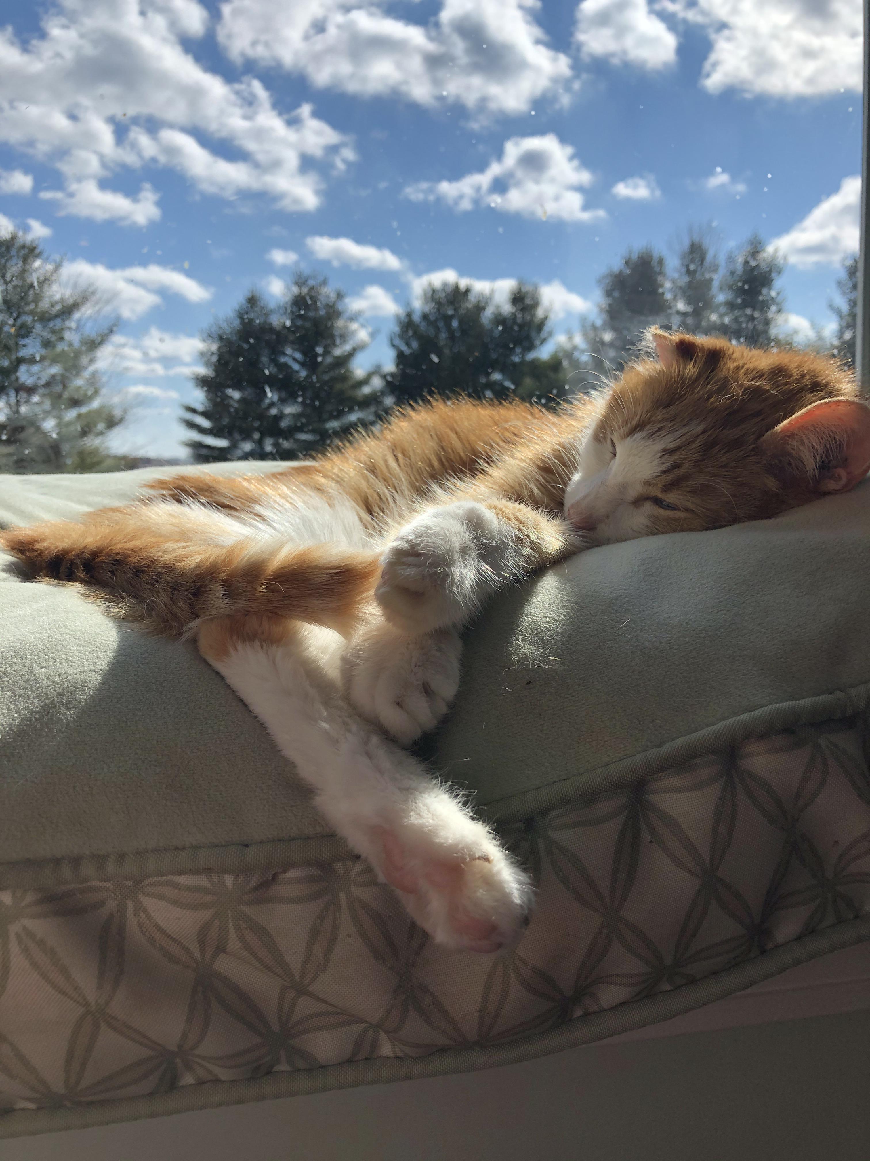 Sun baked beans... | Scrolller
