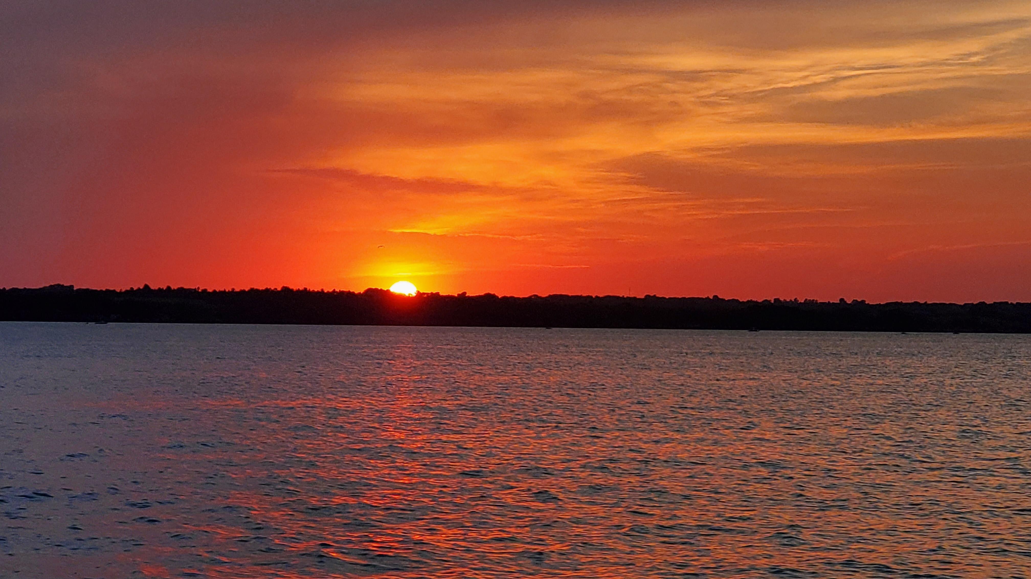 Sun setting on Branched Oak | Scrolller