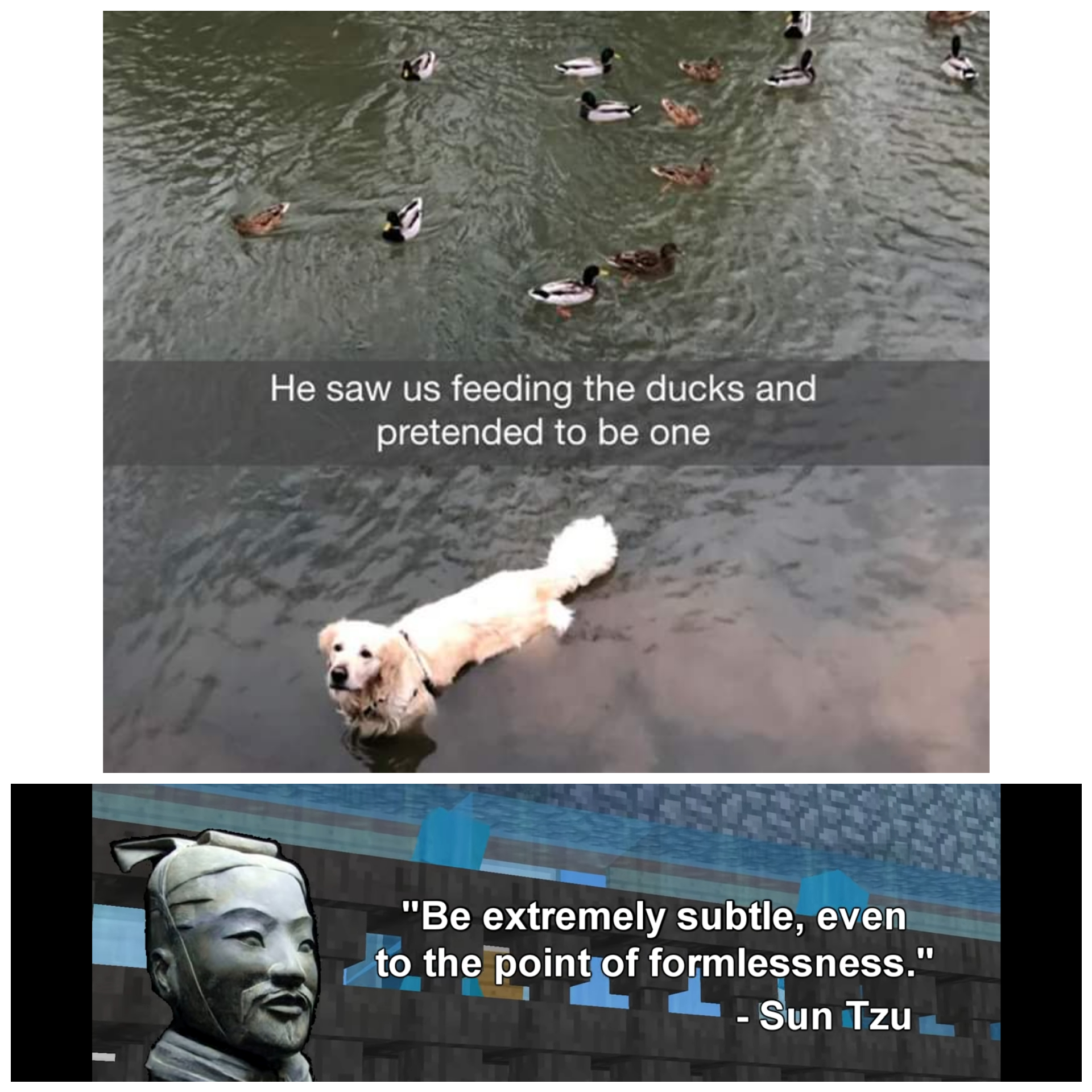 sUn TzU, aRt oF WaR | Scrolller