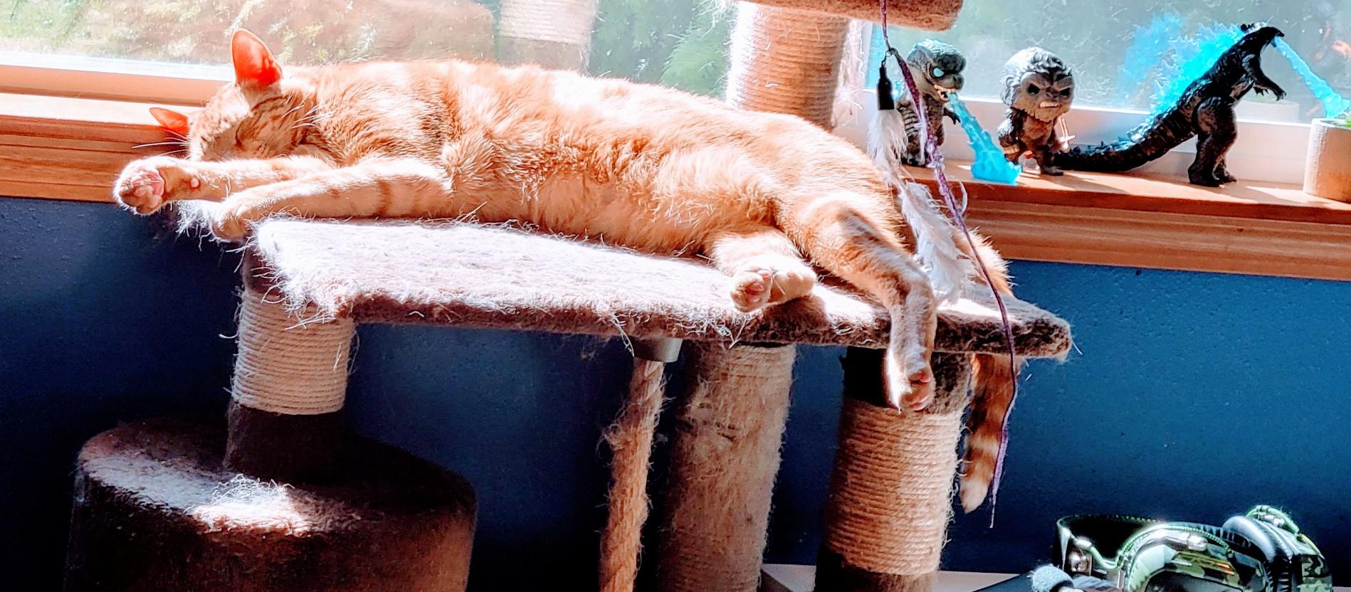 Sunbathing | Scrolller