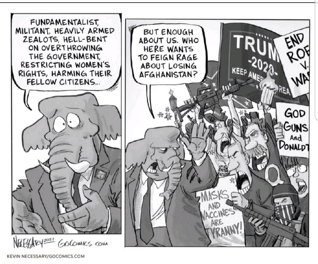 Sunday Comics | Scrolller