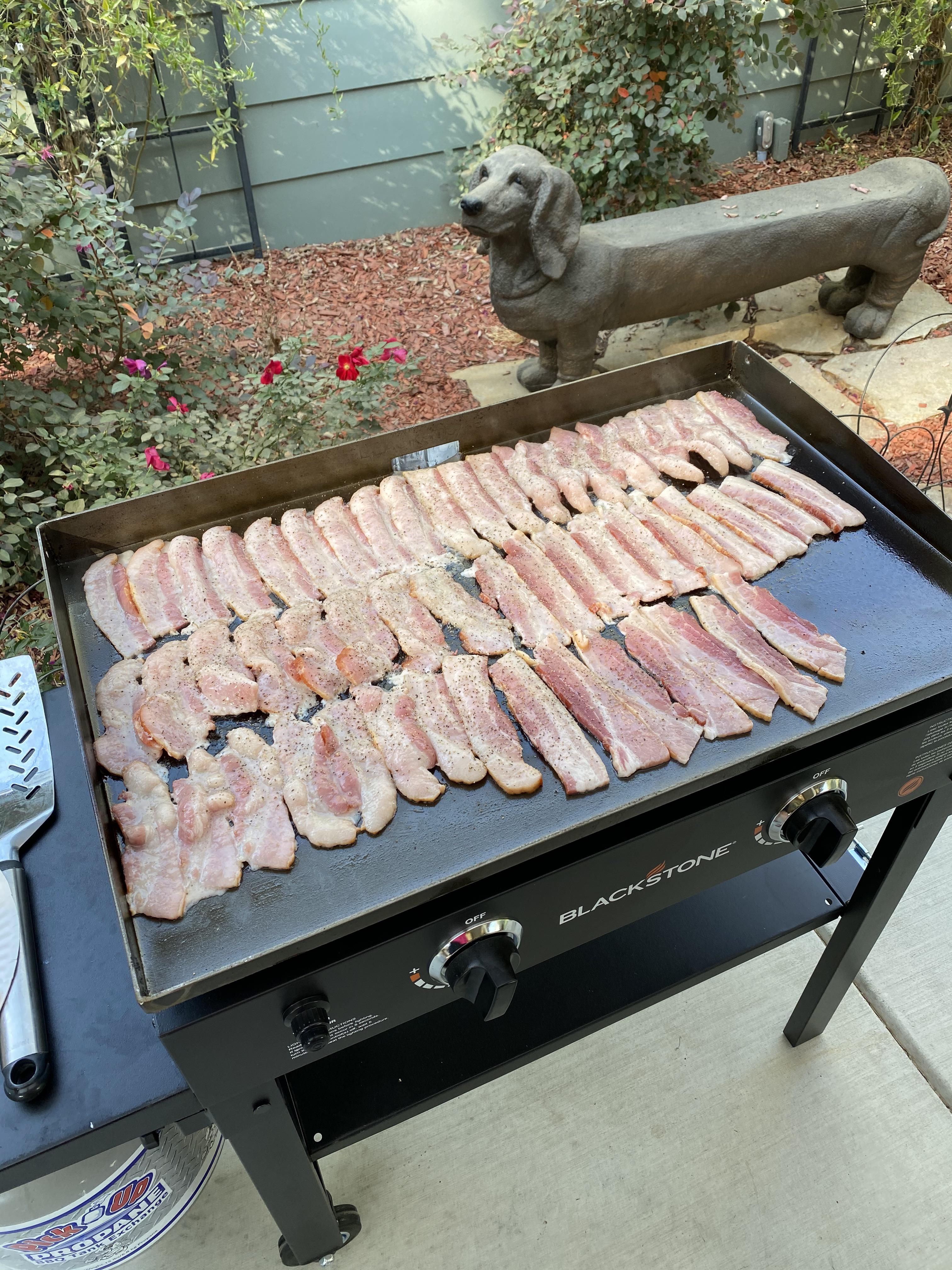 Sunday morning bacon | Scrolller