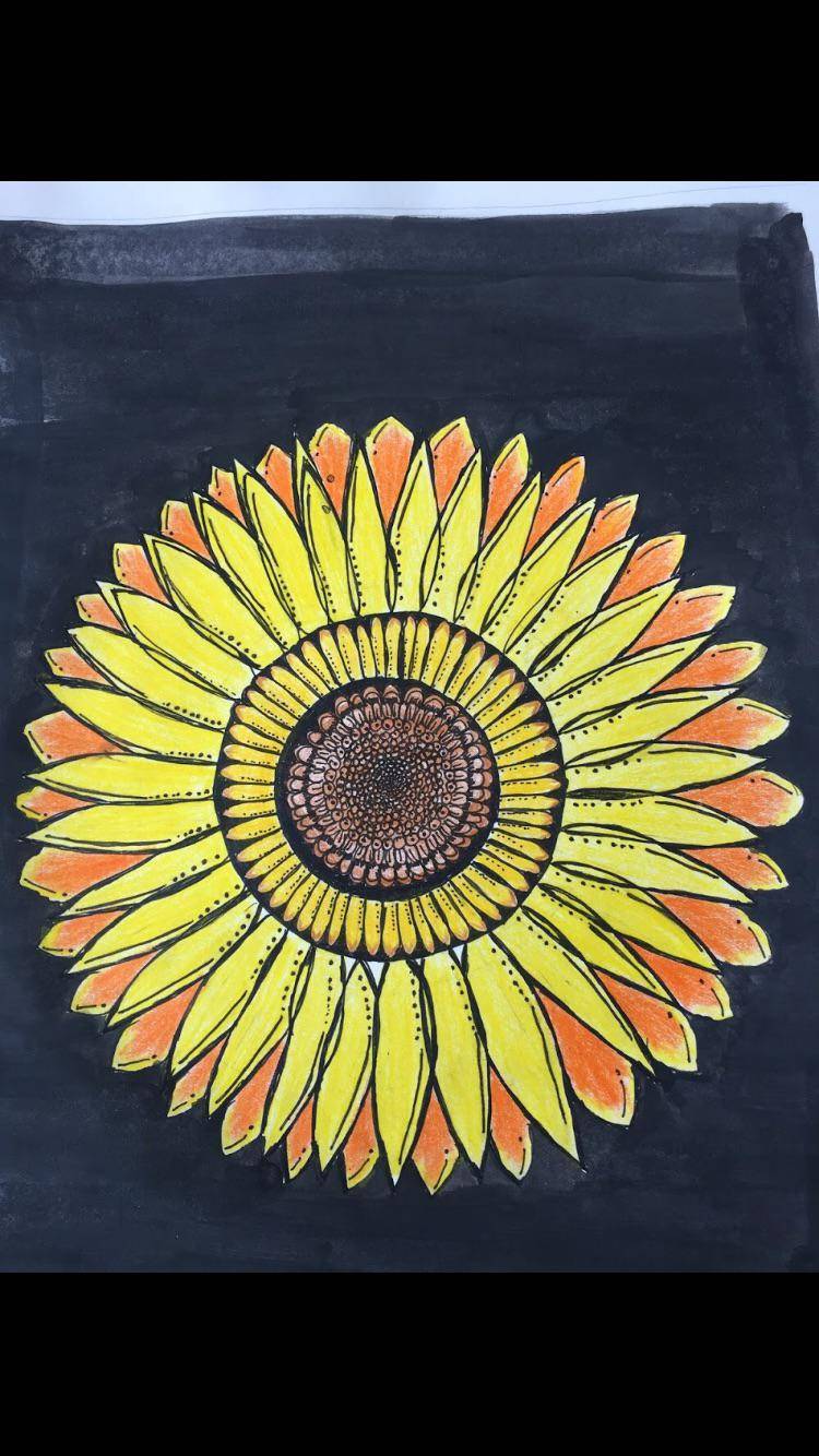 Sunflower | Scrolller