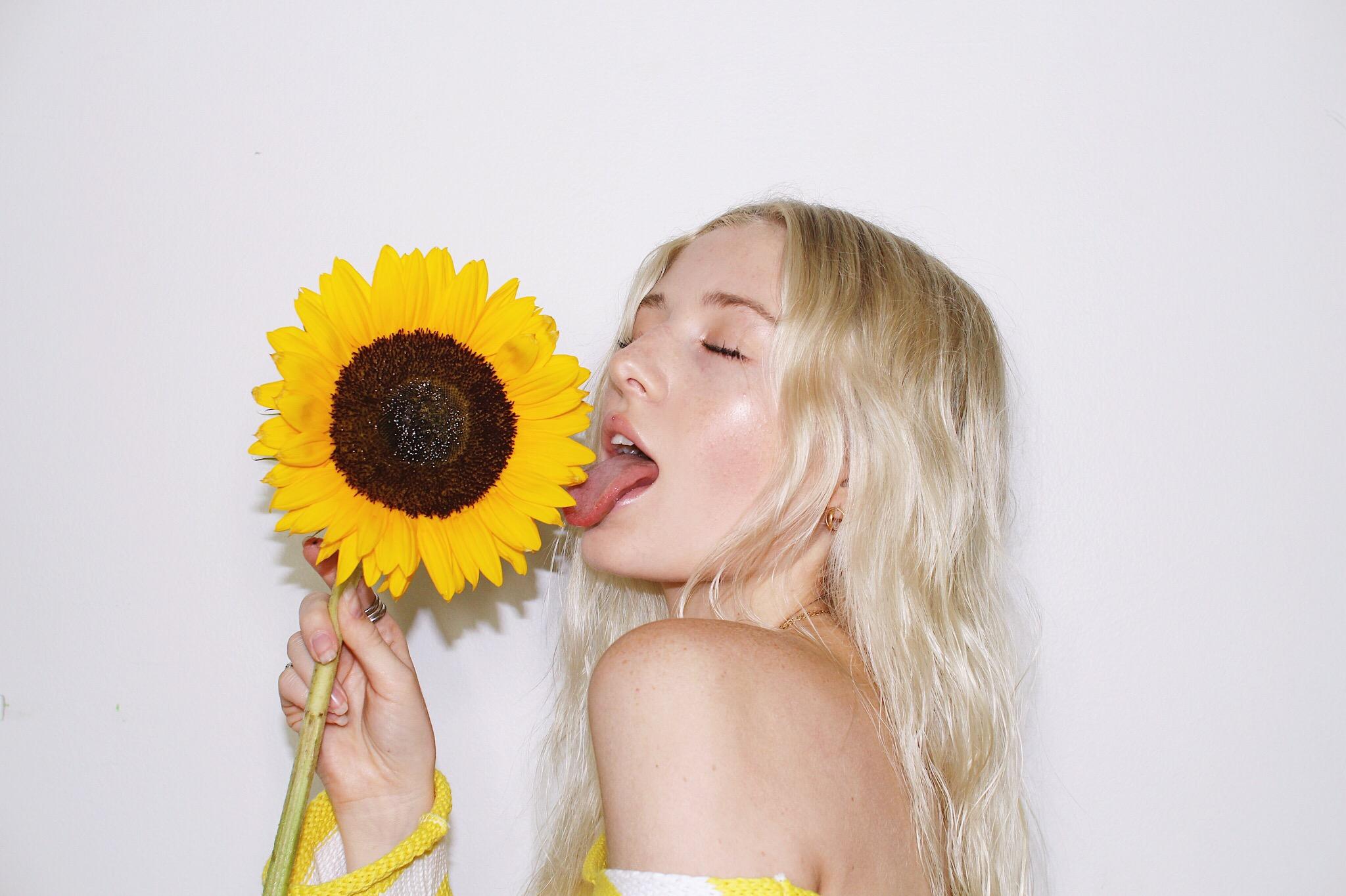 Sunflower | Scrolller