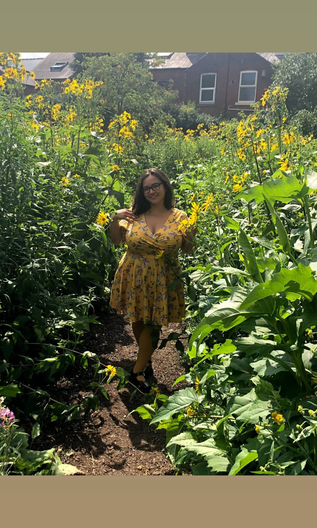 Sunflowers | Scrolller