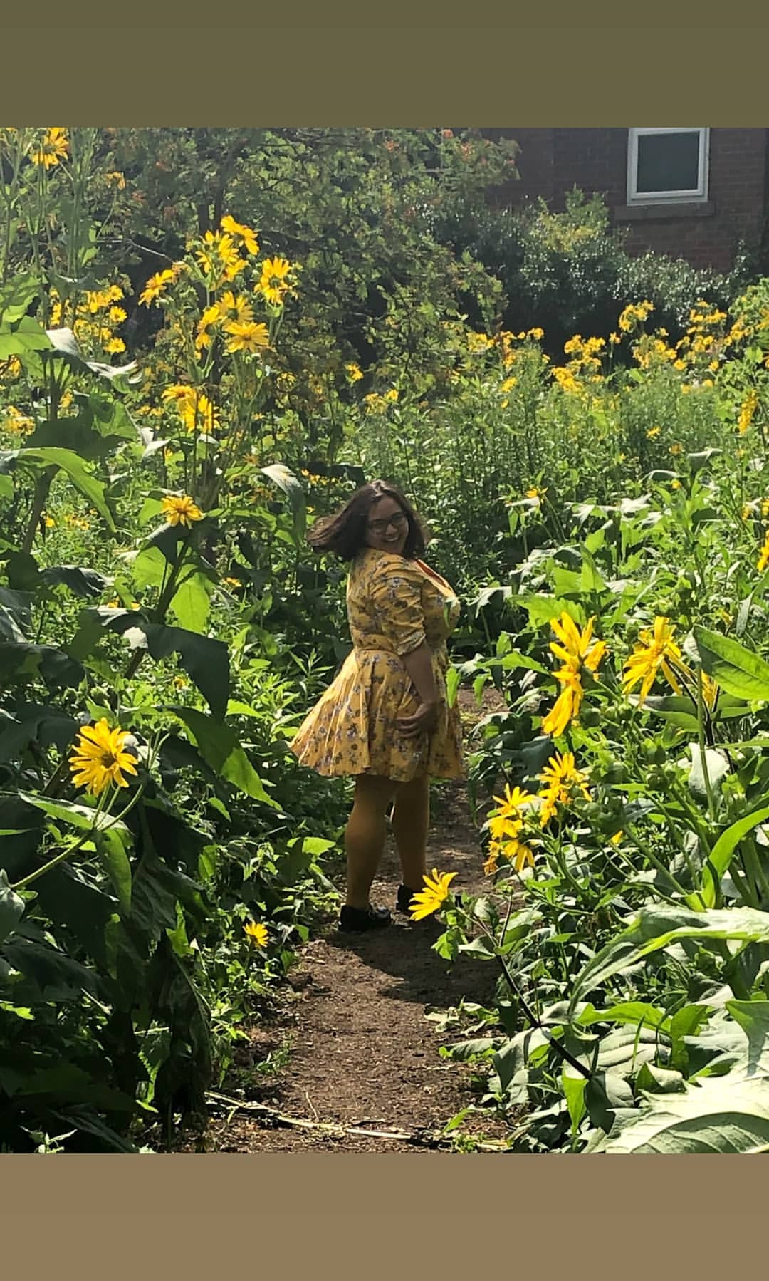 Sunflowers | Scrolller