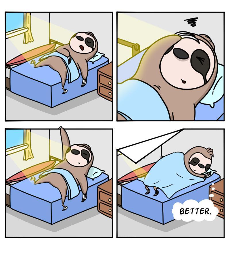 Sunlight [OC] | Scrolller